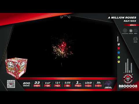 A Million Roses – Extreme Fireworks